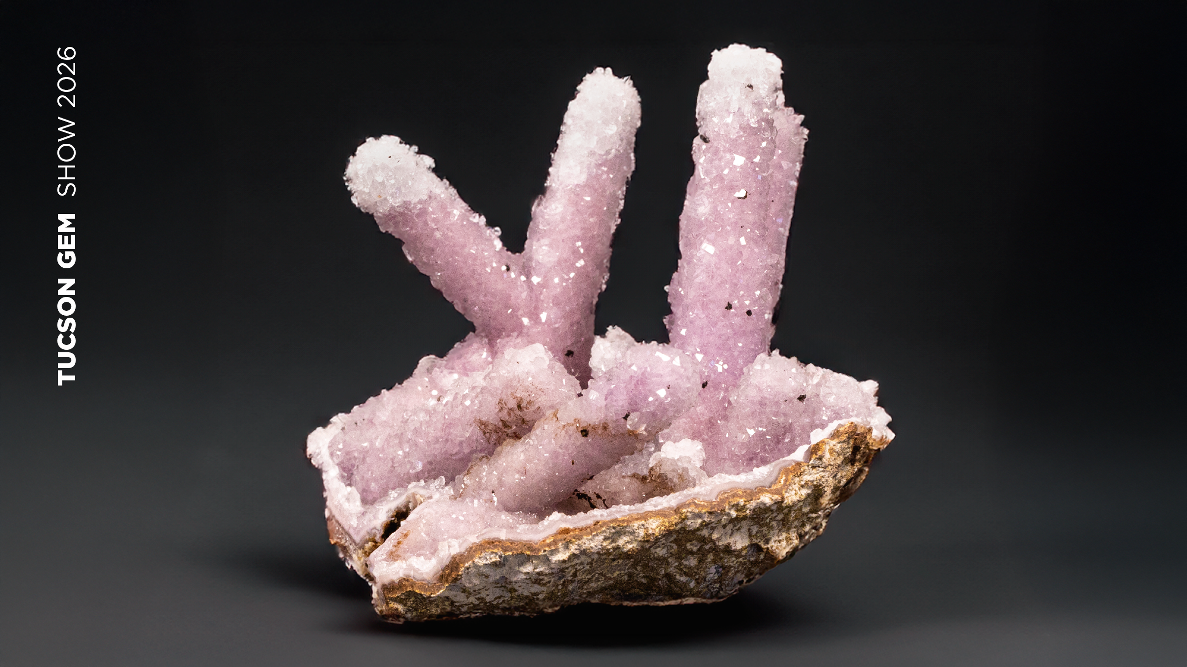 How to Start an Agate Collection (Without Getting Overwhelmed) – Agates ...